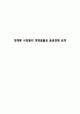 경제학 시장원리 경제효율성 공공경제 요약-1페이지