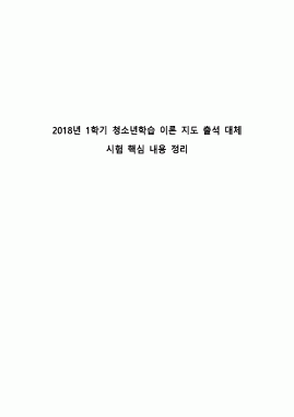 2018년 1학기 청소년학습 이론 지도 출석 대체 시험 핵심 내용 정리-1페이지