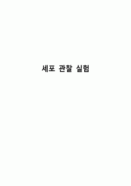 세포 관찰 실험-1페이지