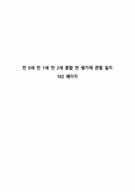 만 0세 만 1세 만 2세 혼합 반 평가제 관찰 일지 102 페이지-1페이지