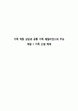 가족 역동 상담과 공통 가족 레질리언스의 주요 개념 1 가족 신념 체계-1페이지