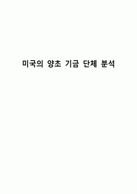 미국의 양초 기금 단체 분석-1페이지