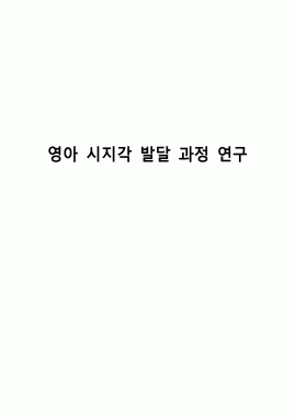 영아 시지각 발달 과정 연구-1페이지