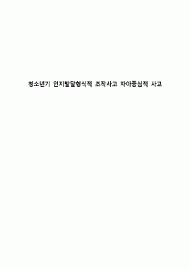 청소년기 인지발달형식적 조작사고 자아중심적 사고-1페이지