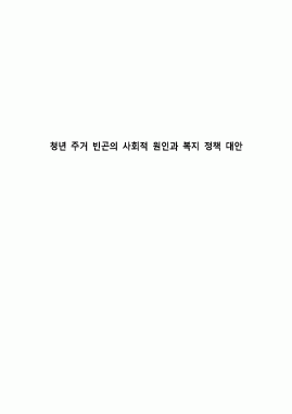 청년 주거 빈곤의 사회적 원인과 복지 정책 대안-1페이지