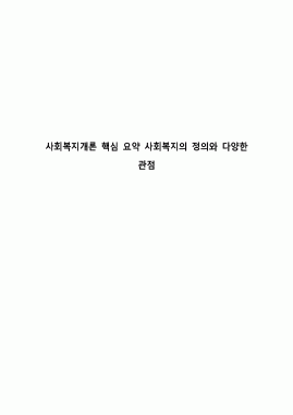 사회복지개론 핵심 요약 사회복지의 정의와 다양한 관점-1페이지