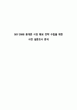 SKY DMB 휴대폰 시장 확보 전략 수립을 위한 사전 설문조사 분석-1페이지