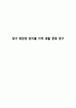 양구 해안면 펀치볼 지역 생활 문화 연구-1페이지