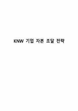 KNW 기업 자본 조달 전략-1페이지