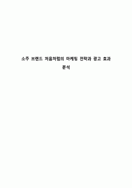 소주 브랜드 처음처럼의 마케팅 전략과 광고 효과 분석-1페이지