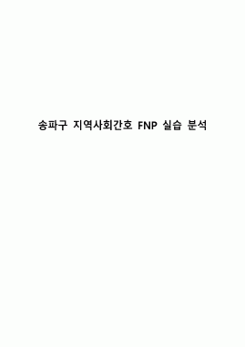 송파구 지역사회간호 FNP 실습 분석-1페이지