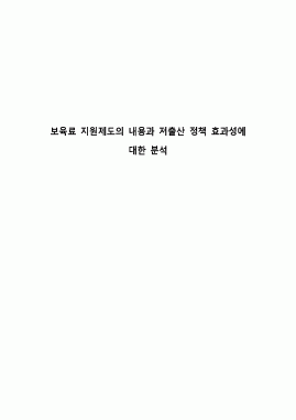 보육료 지원제도의 내용과 저출산 정책 효과성에 대한 분석-1페이지