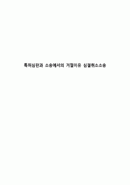 특허심판과 소송에서의 거절이유 심결취소소송-1페이지