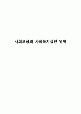 사회보장의 사회복지실천 영역-1페이지