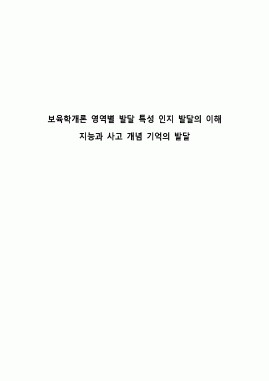 보육학개론 영역별 발달 특성 인지 발달의 이해 지능과 사고 개념 기억의 발달-1페이지