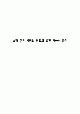 소형 주류 시장의 현황과 발전 가능성 분석-1페이지