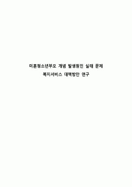 미혼청소년부모 개념 발생원인 실태 문제 복지서비스 대책방안 연구-1페이지