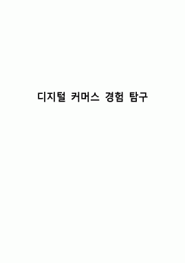 디지털 커머스 경험 탐구-1페이지