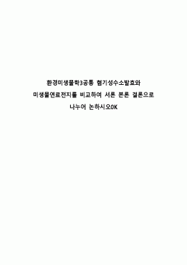 환경미생물학3공통 혐기성수소발효와 미생물연료전지를 비교하여 서론 본론 결론으로 나누어 논하시오0K-1페이지
