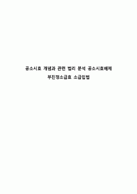 공소시효 개념과 관련 법리 분석 공소시효배제 부진정소급효 소급입법-1페이지