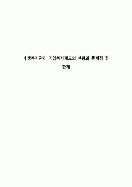 후생복지관리 기업복지제도의 현황과 문제점 및 한계-1페이지
