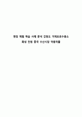 현장 체험 학습 사례 분석 강원도 거제포로수용소 화성 찬원 중국 수산시장 약용작물-1페이지