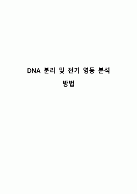 DNA 분리 및 전기 영동 분석 방법-1페이지