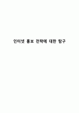 인터넷 홍보 전략에 대한 탐구-1페이지