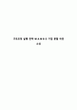 구조조정 실행 전략 M A M B O 기업 분할 아웃 소싱-1페이지