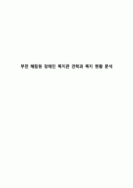 부천 혜림원 장애인 복지관 견학과 복지 현황 분석-1페이지