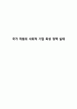 국가 차원의 사회적 기업 육성 정책 실태-1페이지