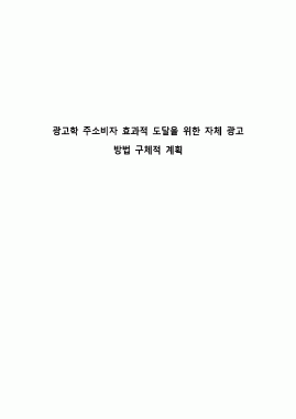 광고학 주소비자 효과적 도달을 위한 자체 광고 방법 구체적 계획-1페이지