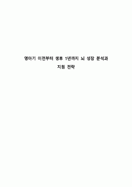 영아기 이전부터 생후 1년까지 뇌 성장 분석과 지원 전략-1페이지