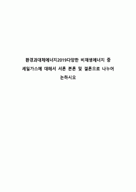환경과대체에너지2019다양한 비재생에너지 중 셰일가스에 대해서 서론 본론 및 결론으로 나누어 논하시오-1페이지
