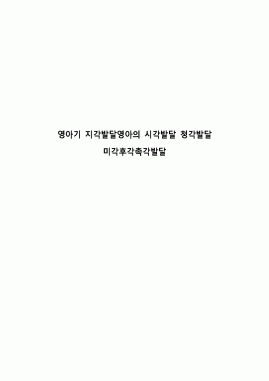 영아기 지각발달영아의 시각발달 청각발달 미각후각촉각발달-1페이지