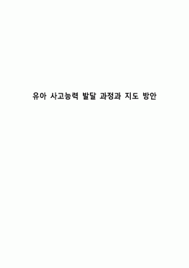 유아 사고능력 발달 과정과 지도 방안-1페이지