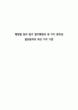 행정법 원리 탐구 법치행정의 세 가지 원칙과 일반원칙의 여섯 가지 기준-1페이지