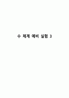 수 체계 예비 실험 3-1페이지