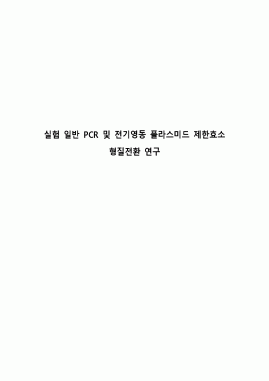 실험 일반 PCR 및 전기영동 플라스미드 제한효소 형질전환 연구-1페이지