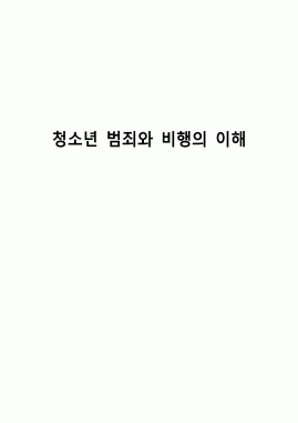 청소년 범죄와 비행의 이해-1페이지