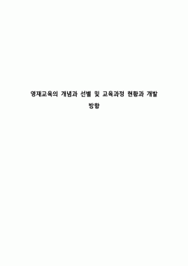 영재교육의 개념과 선별 및 교육과정 현황과 개발 방향-1페이지