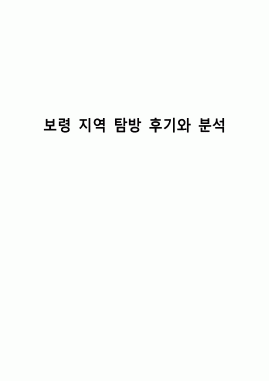 보령 지역 탐방 후기와 분석-1페이지