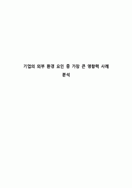 기업의 외부 환경 요인 중 가장 큰 영향력 사례 분석-1페이지