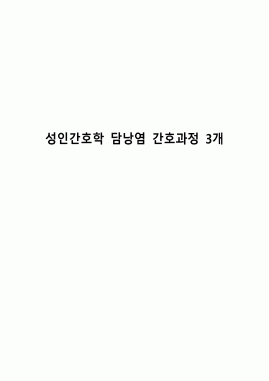 성인간호학 담낭염 간호과정 3개-1페이지