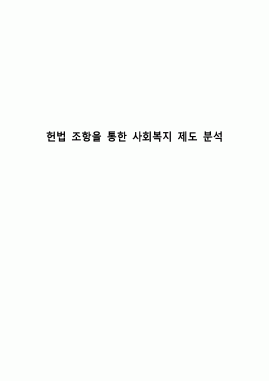 헌법 조항을 통한 사회복지 제도 분석-1페이지