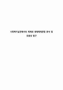 사회복지실천에서의 체계와 생태체계관점 분석 및 유용성 탐구-1페이지