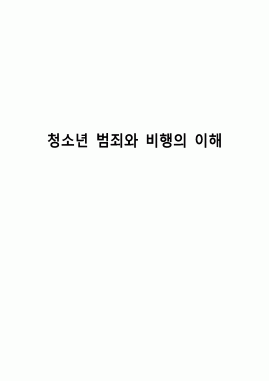 청소년 범죄와 비행의 이해-1페이지