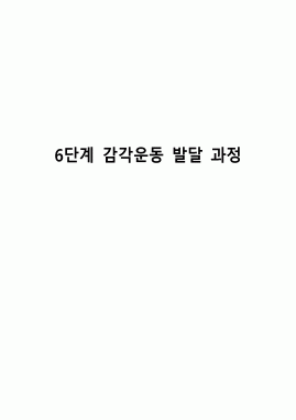 6단계 감각운동 발달 과정-1페이지