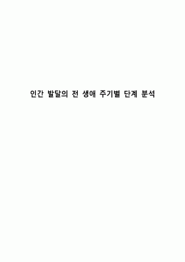 인간 발달의 전 생애 주기별 단계 분석-1페이지