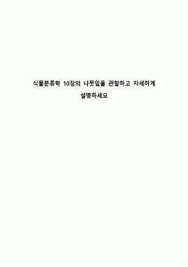 식물분류학 10장의 나뭇잎을 관찰하고 자세하게 설명하세요-1페이지